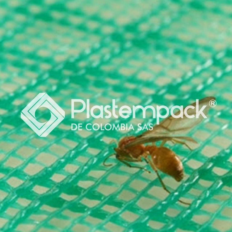 Malla Anti Insectos-Mosquitero